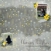Chasing Fireflies: Collection – Dandelion Dust Designs